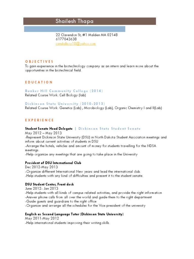 Shailesh Thapa Resume | PDF