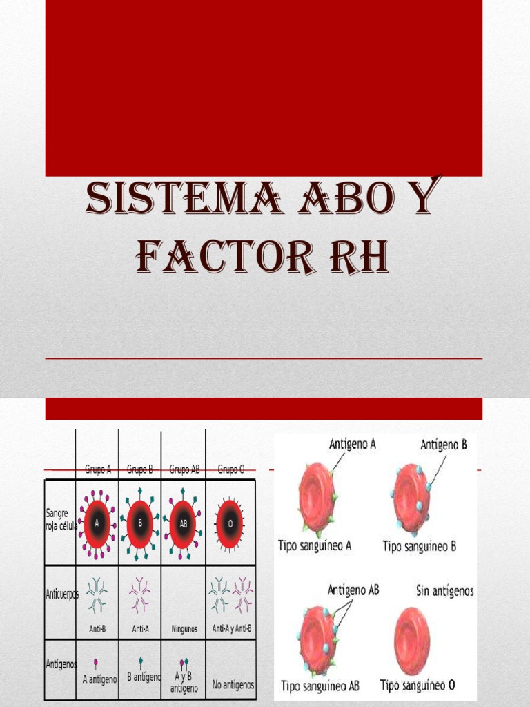 Grupos Sanguíneos ABO y Factor Rh | PDF | Tipo de sangre | Fisiologia ...