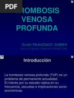 Signo de Homans y Edema Venoso | PDF | Angiología | Rtt
