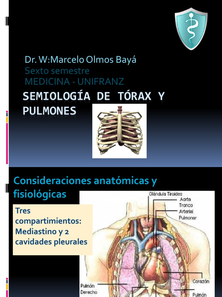 UNIDAD I. Semiología de Tórax y Pulmones(ALUMNOS)1 | Tos | Respiración