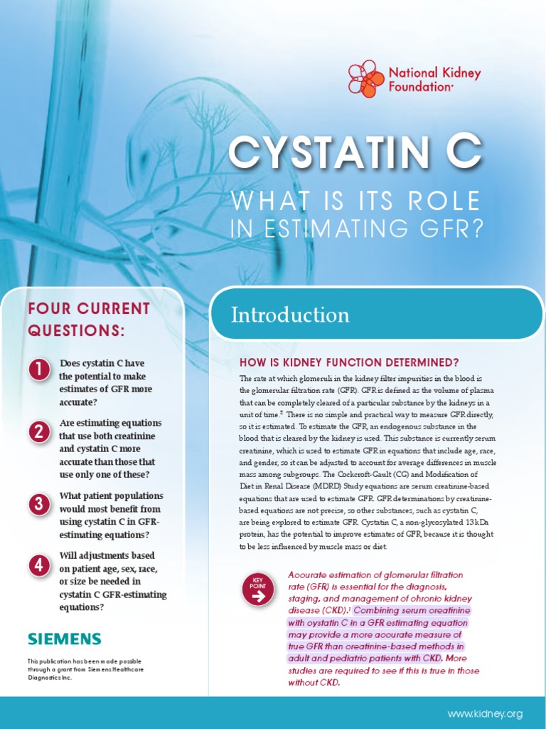 cystatin: what is its role | Renal Function | Chronic Kidney Disease