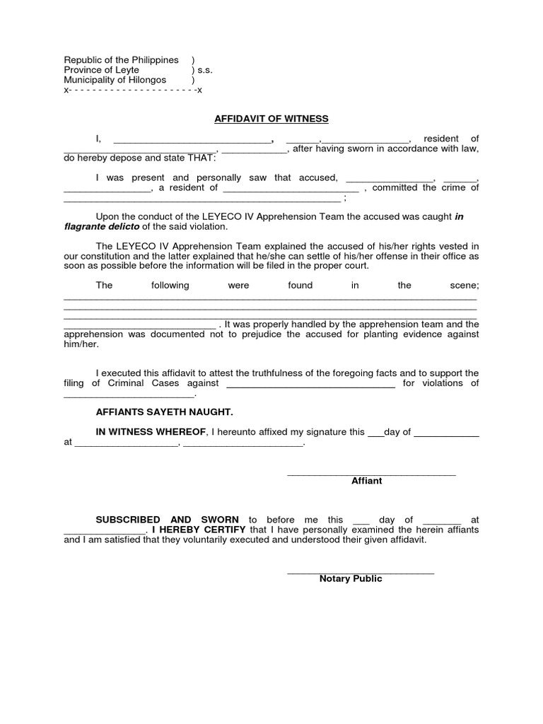 Affidavit of Witness | PDF