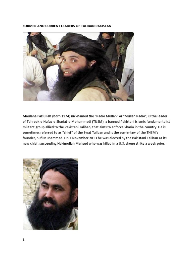 Taliban Pakistan Leaders Overview | PDF | Tehrik I Taliban Pakistan ...