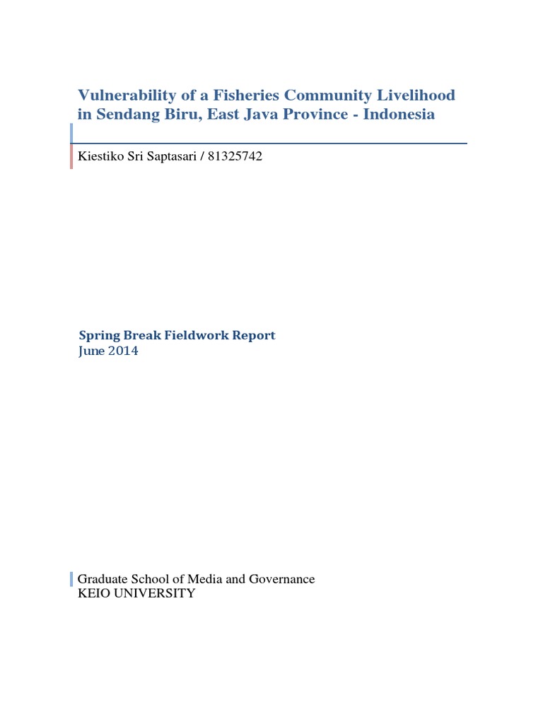 Example of Fieldwork Report | PDF | Field Research | Loans