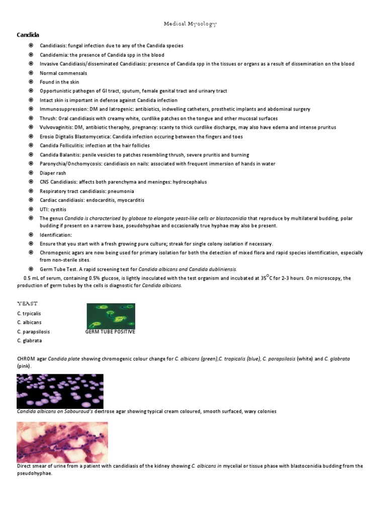 Myco Viro | PDF | Candida (Fungus) | Candidiasis