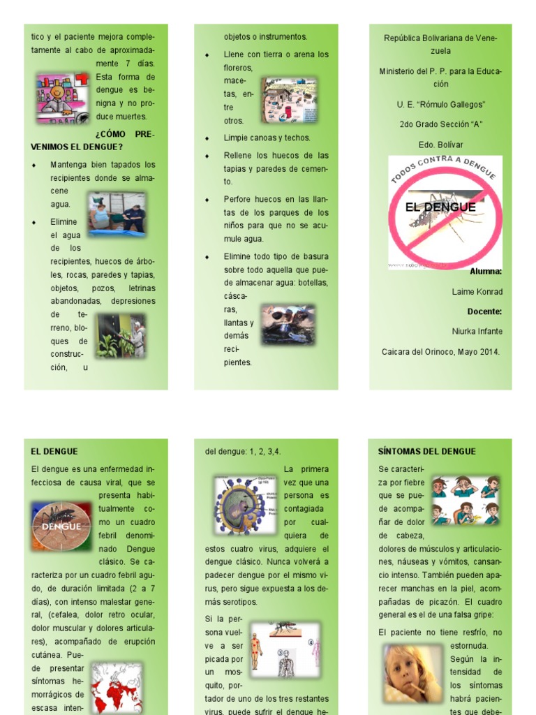 Triptico Sobre El Dengue | PDF Triptico Sobre El Dengue | PDF