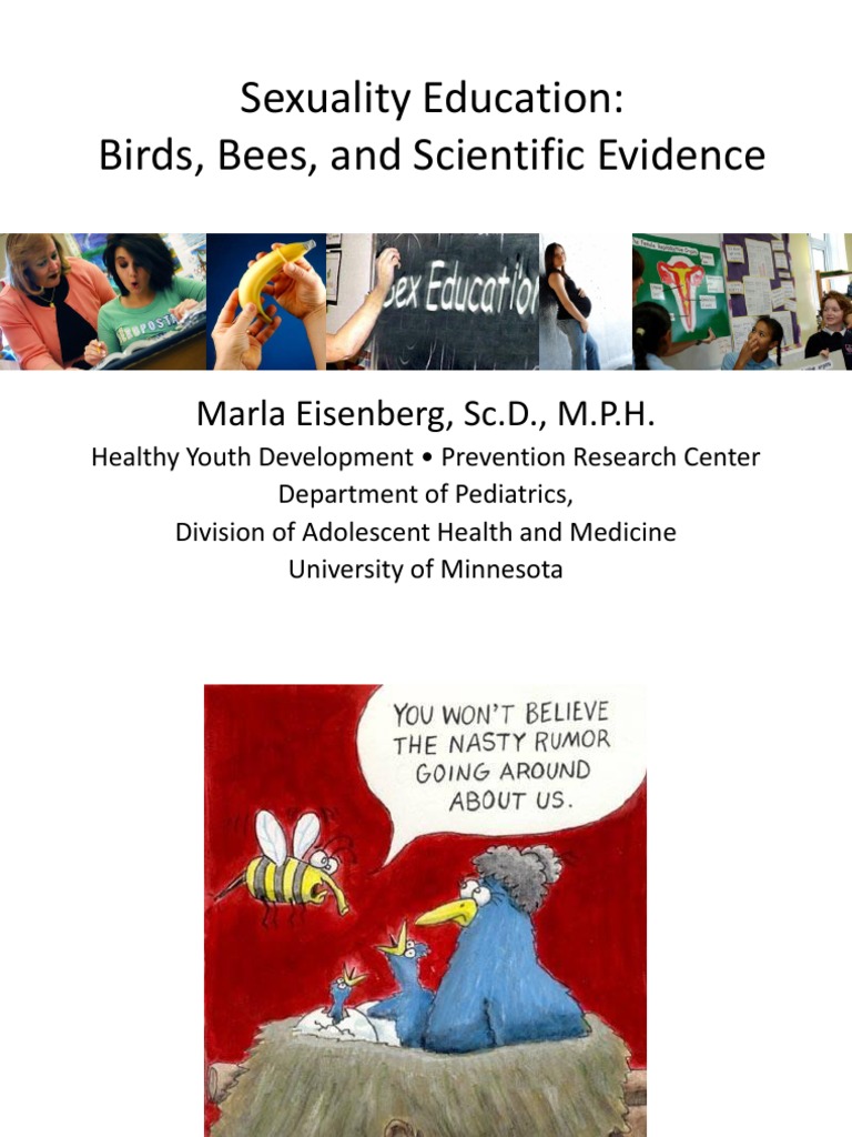 Sexuality Education | PDF | Sex Education | Human Sexual Activity