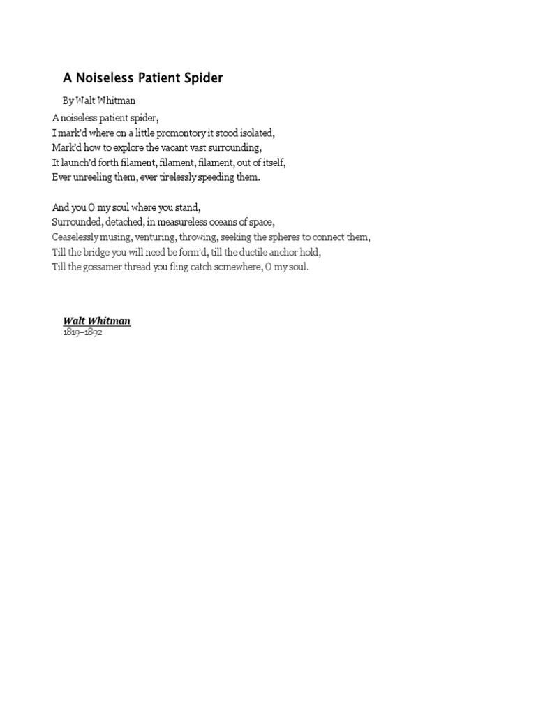 A Noiseless Patient Spider | PDF | Poetry | Young Adult