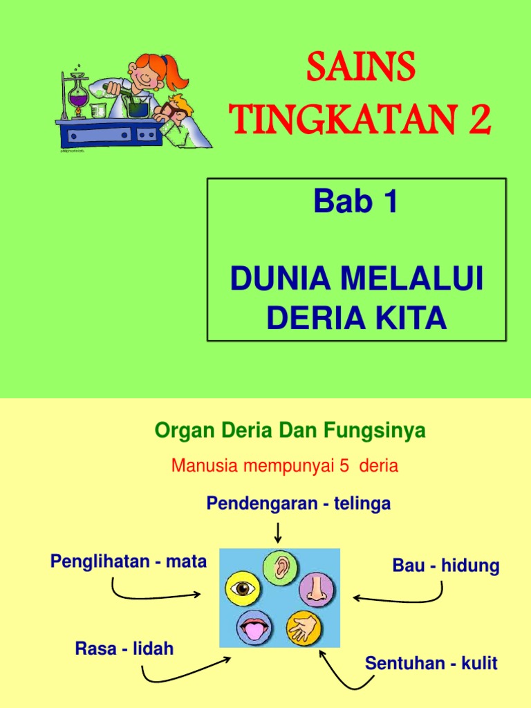 Deria Manusia | PDF