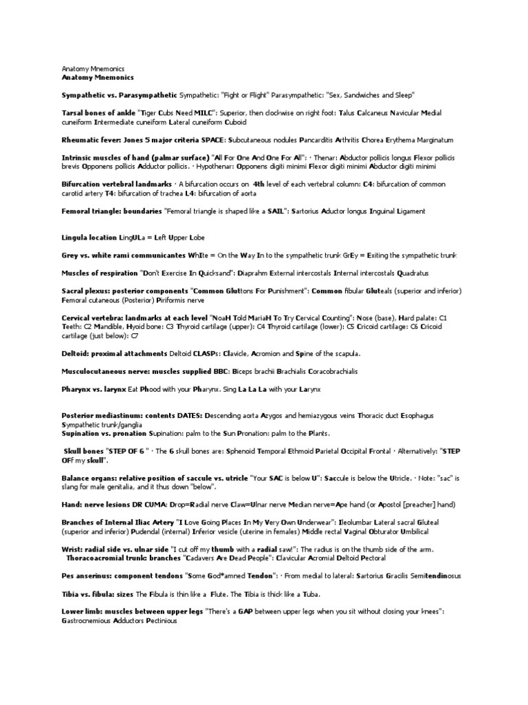 Anatomy Mnemonics | PDF