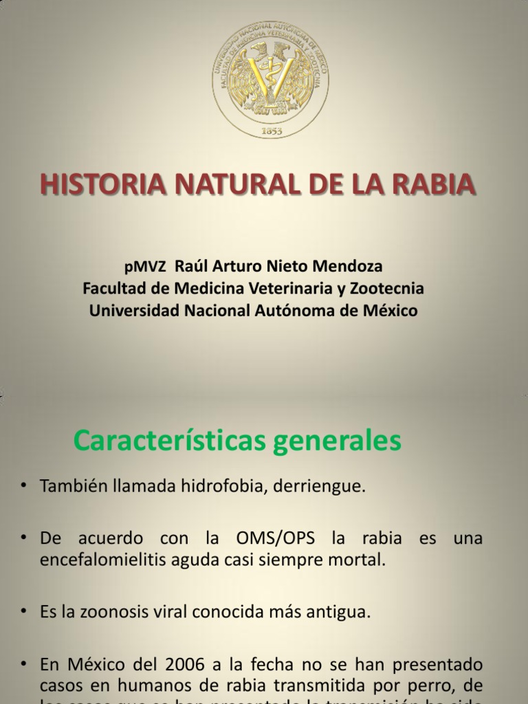 Historia Natural de La Rabia | PDF | Rabia | Virus