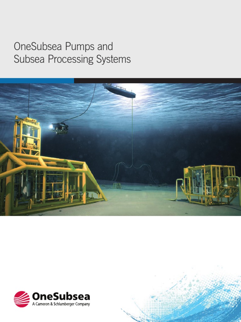 Pumps For Subsea | PDF | Subsea (Technology) | Pump
