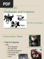 Goat Skeletal Anatomy Overview | PDF | Vertebra | Vertebral Column