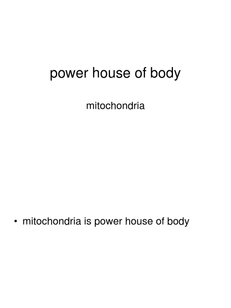 Power House of Body: Mitochondria | PDF
