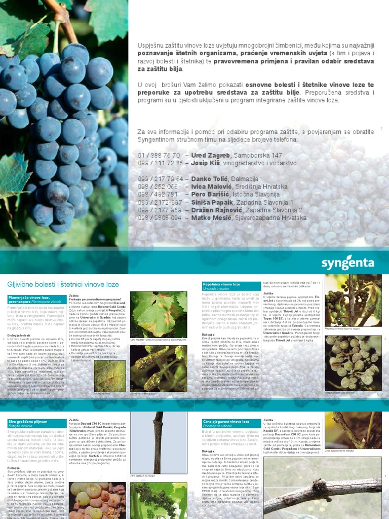 Zastita Vinove Loze | PDF