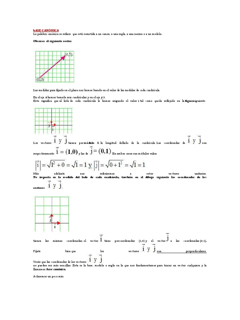 Base Canonica | PDF | Vector Euclidiano | Sistema de coordenadas ...