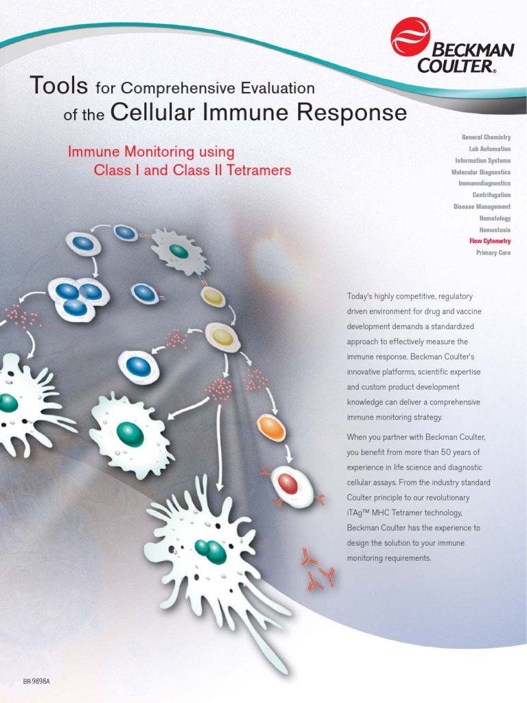 Immune Monitoring | PDF | T Cell | Major Histocompatibility Complex