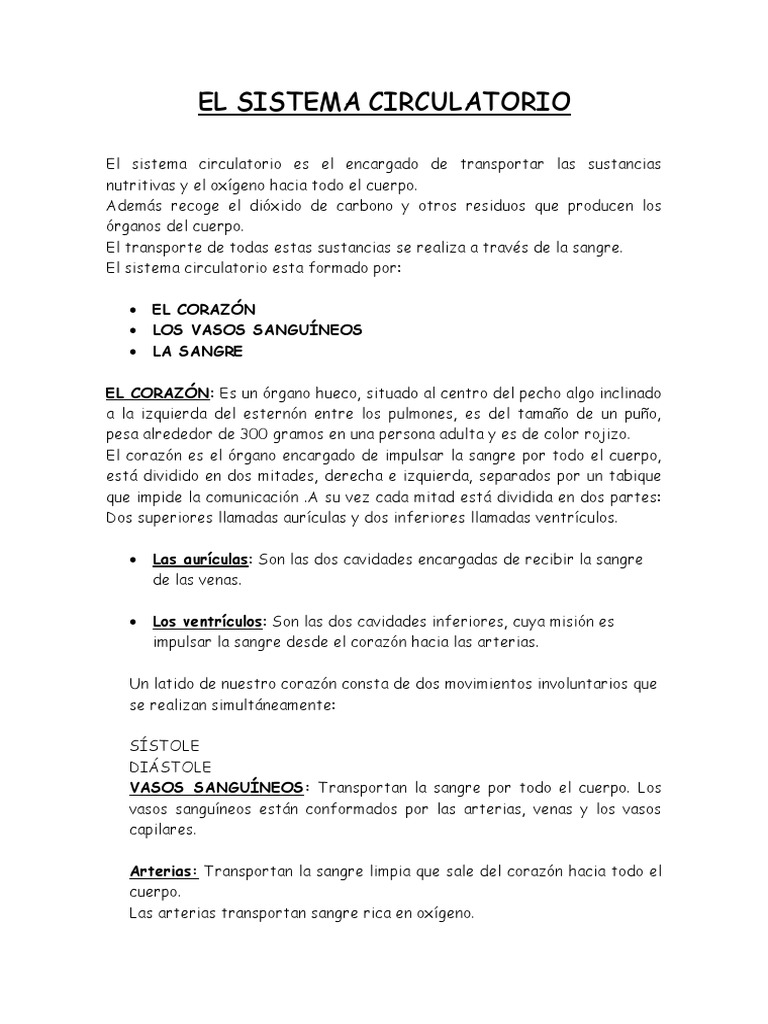 Sistema Circulatorio - 4 Hojas | PDF | Sistema circulatorio | Sangre