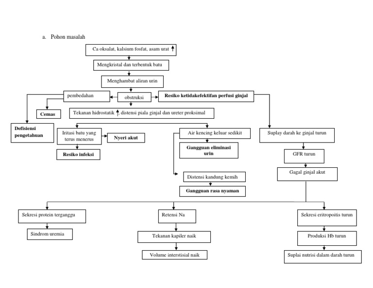 Patway Nefrolitiasis 1 | PDF