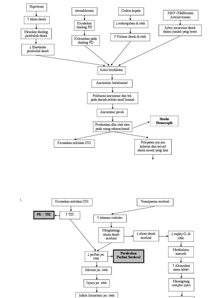 Pathway Aneurisma | PDF