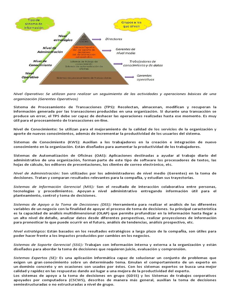 Nivel Operativo | PDF | Toma de decisiones | Calidad (comercial)