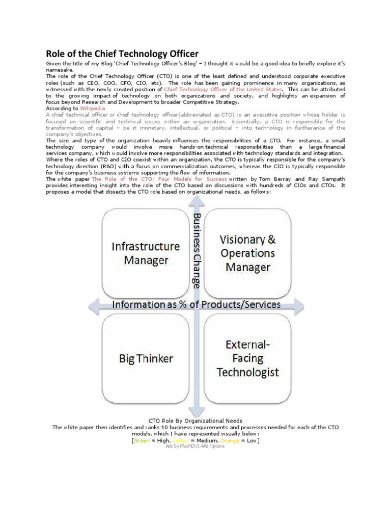 Chief Technology Officer | PDF | Chief Information Officer | Innovation