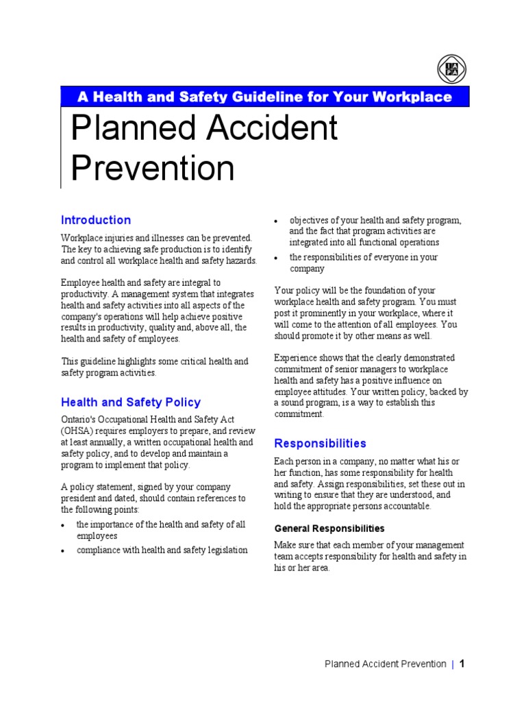 Accident Prevention Plan | Download Free PDF | Occupational Safety And ...