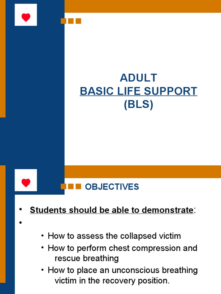 Guidelines for Adult Basic Life Support: A Summary of Key Steps and ...