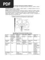 Escala de Sarnat | PDF