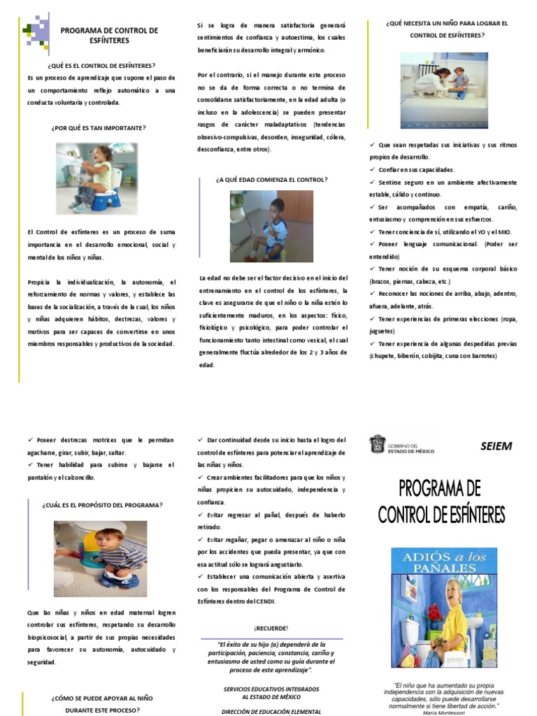 Programa para El Control de Esfinteres | Descargar gratis PDF | Adultos | Ciencia cognitiva