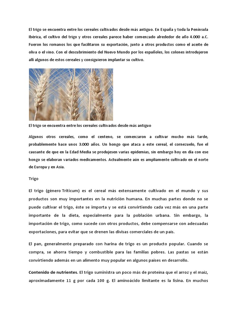 Trigo e Historia | Descargar gratis PDF | Trigo | Cereales