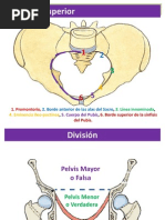 Planos Hodge, Lee, Quintos 1 | PDF | Parto | Pelvis