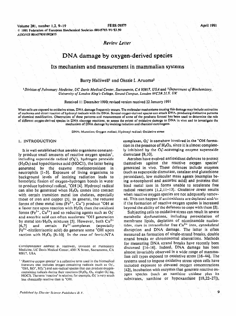 DNA Damage by ROS | PDF | Oxidative Stress | Superoxide Dismutase