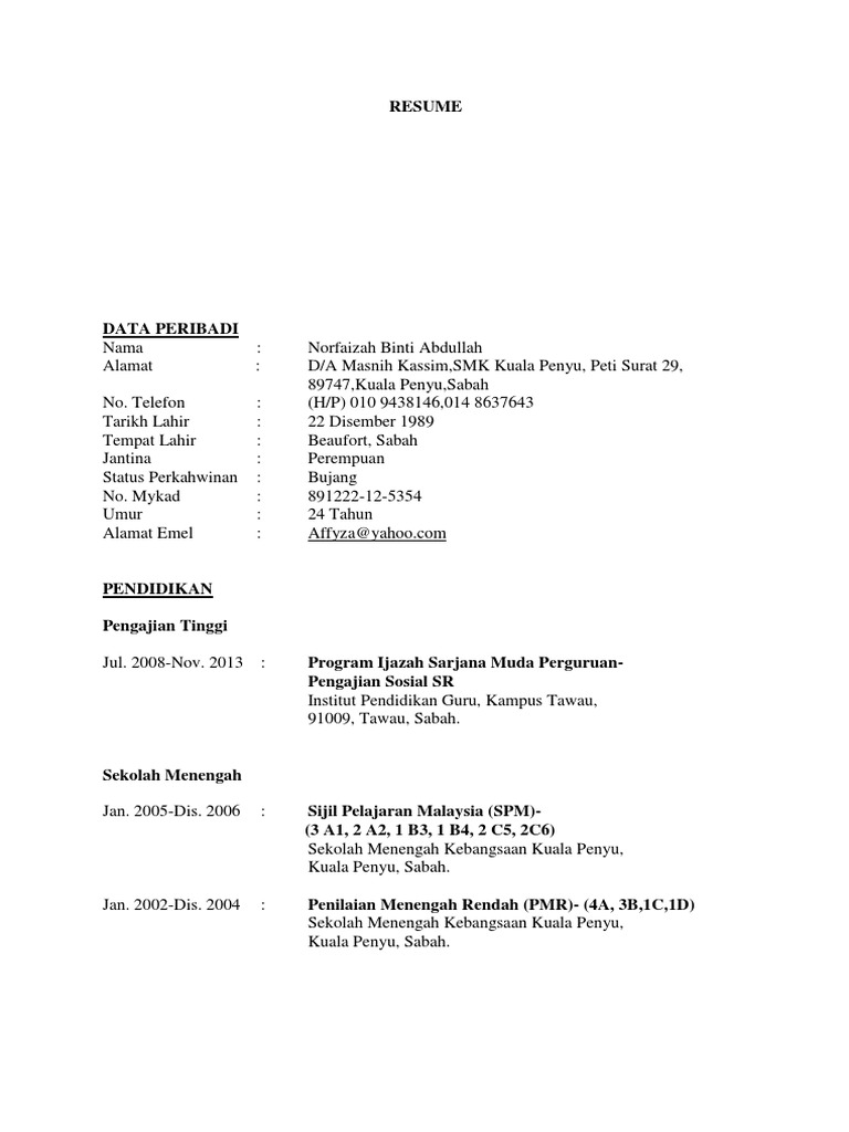 Contoh Resume New | PDF