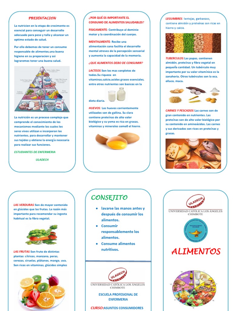 Triptico Alimentos Saludables | PDF | Salud y bienestar