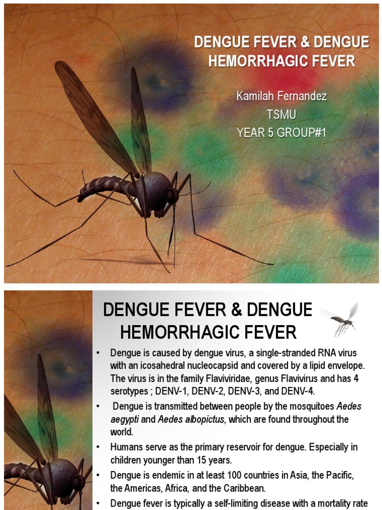 Dengue Fever & Dengue Hemorrhagic Fever | Virus | Shock (Circulatory)