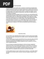 Tratado de Consulta Mediante El Oráculo Del Coco | PDF | Comunicación | Ira