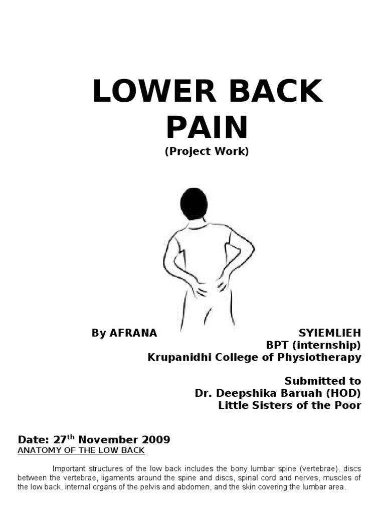 Lower Back Pain | PDF | Vertebral Column | Back Pain