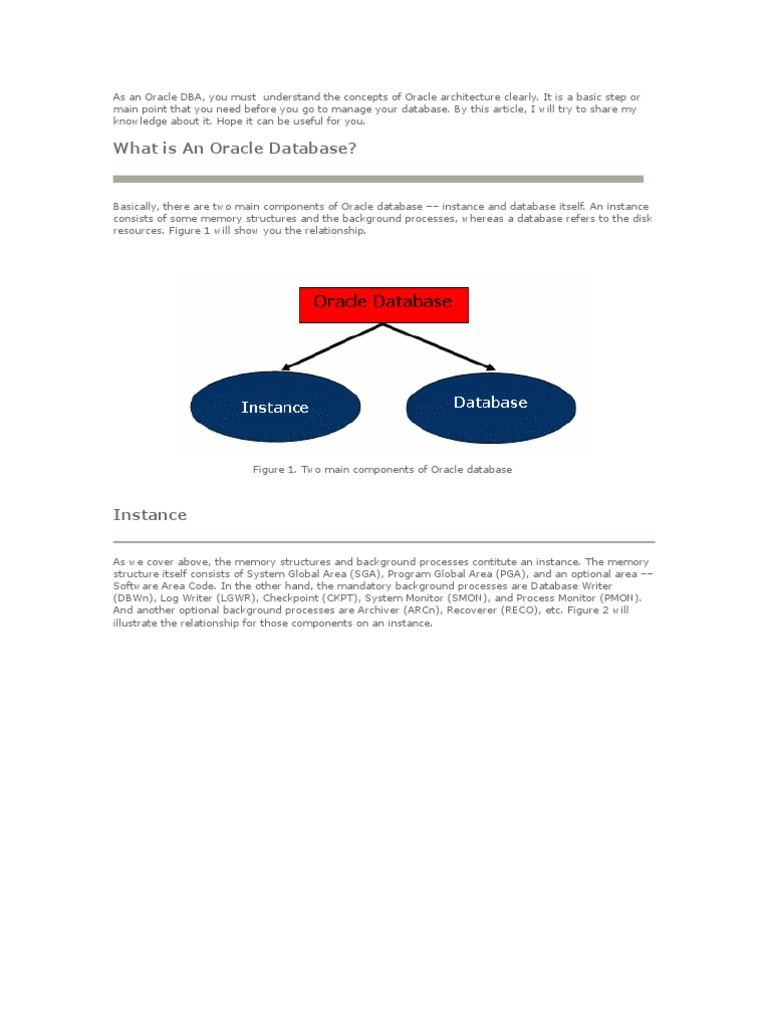 Oracle Basic Architecture | PDF | Oracle Database | Cache (Computing)