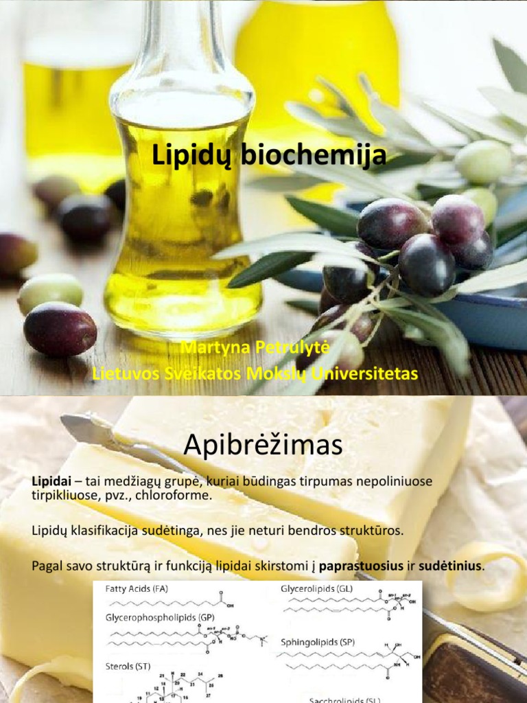 Lipidų Biochemija | PDF