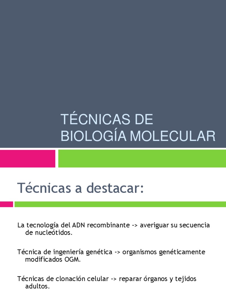 Técnicas de Biología Molecular | PDF