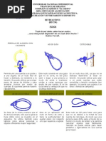 Conquistadores Nudos | PDF | Nudo | Cuerda