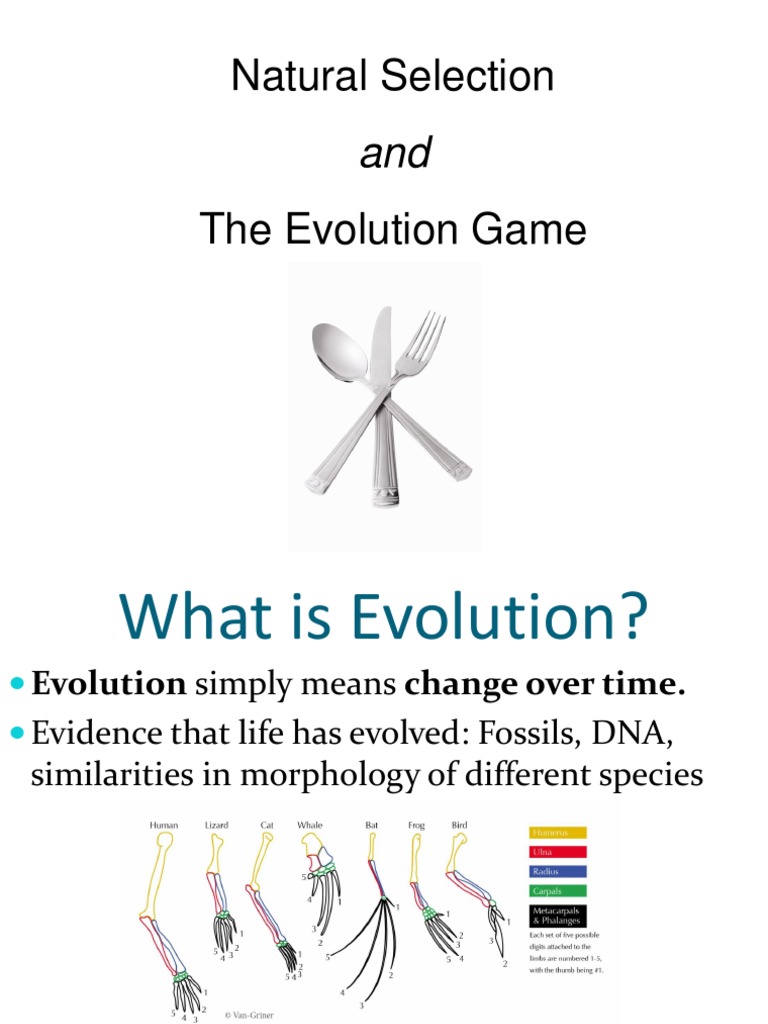 Lab 8 - Natural Selection | PDF | Natural Selection | Evolution