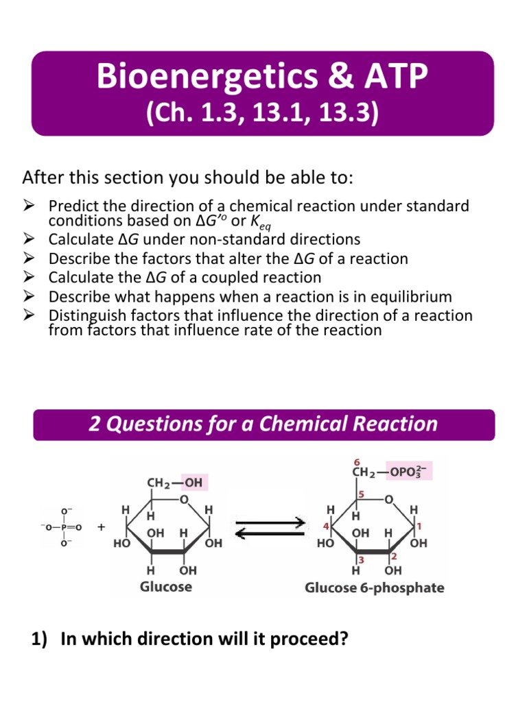 Bioenergetics & ATP: After This Section You Should Be Able To | PDF ...