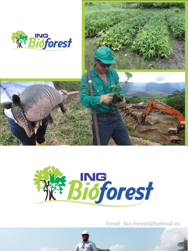 Perfil de la empresa de ingeniería ambiental y forestal Bioforest | PDF ...