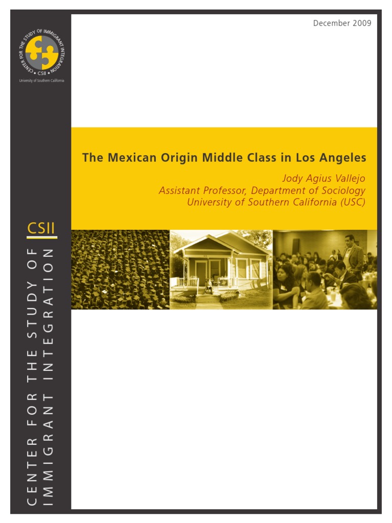 The Mexican Origin Middle Class in Los Angeles | PDF | Social Mobility ...