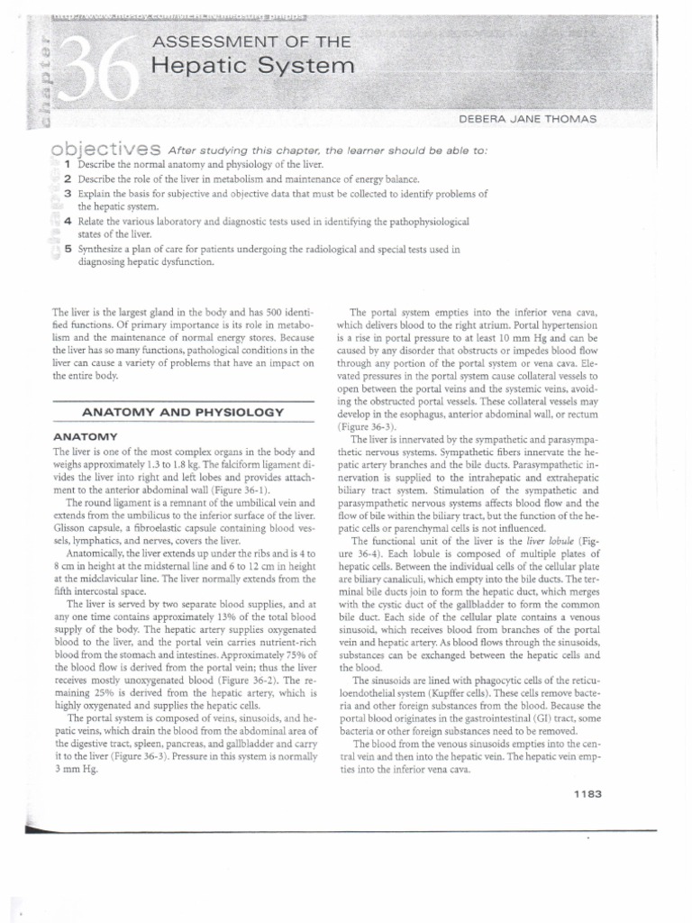 Liver Anatomy and Metabolism Overview | PDF | Liver | Bile
