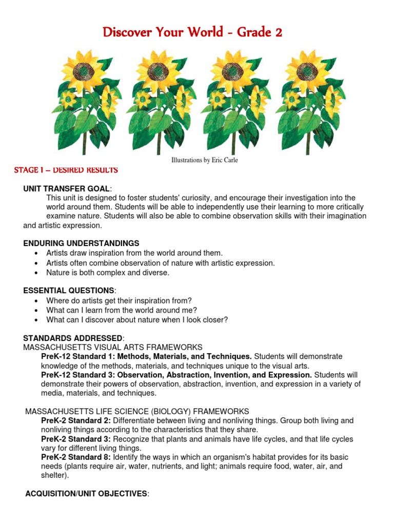 Discover Your World Unit Plan | PDF | Symmetry | Nature