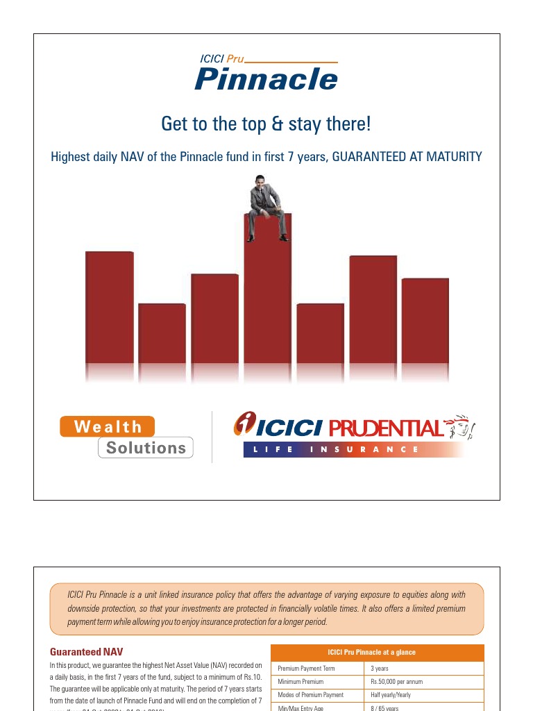 Pinnacle Brochure 21oct09 | PDF