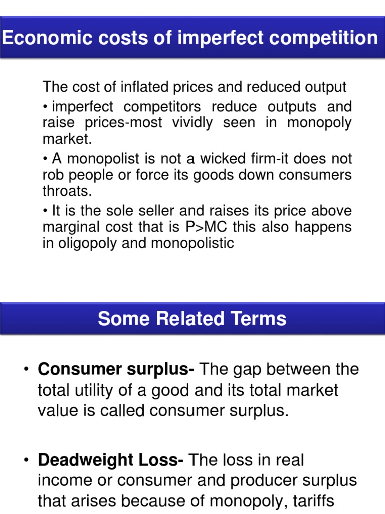 Economic Costs of Imperfect Competition | PDF | Competition Law | Monopoly